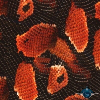 Hydrographic film | Hydrographic Equipment | Hydro Dipping | Liquid Print